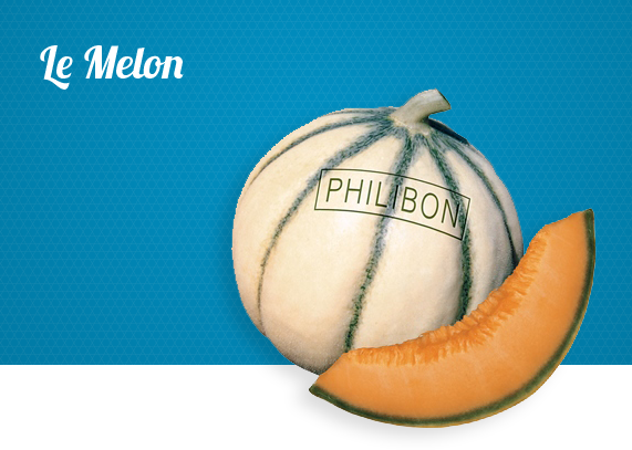 melon_home - Philibon